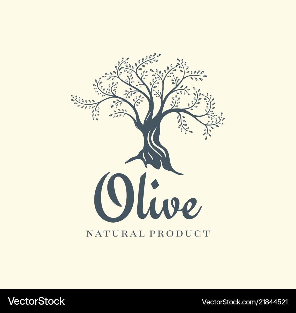 Olive tree logo design template for oil Royalty Free Vector