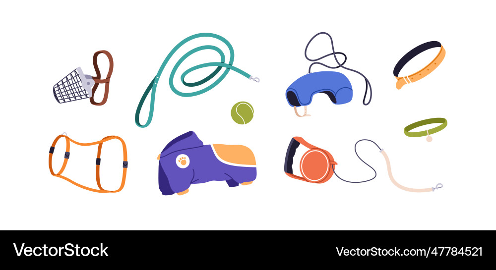 Pet supplies accessories set collar with bell Vector Image