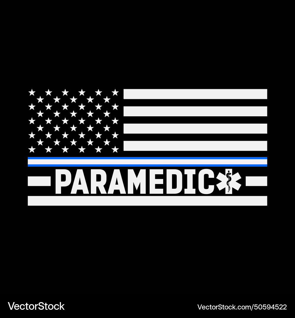 Paramedic flag thin blue white line Royalty Free Vector