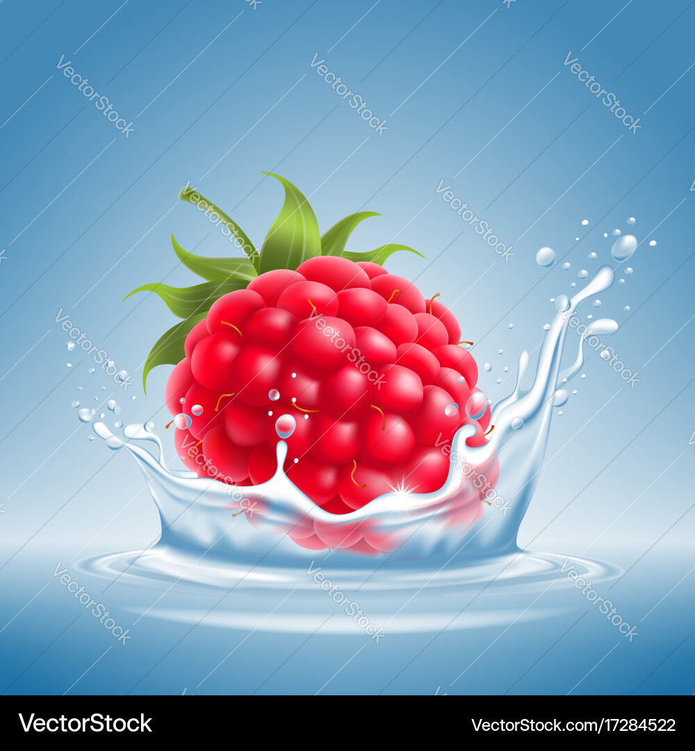 Raspberry in water splash Royalty Free Vector Image