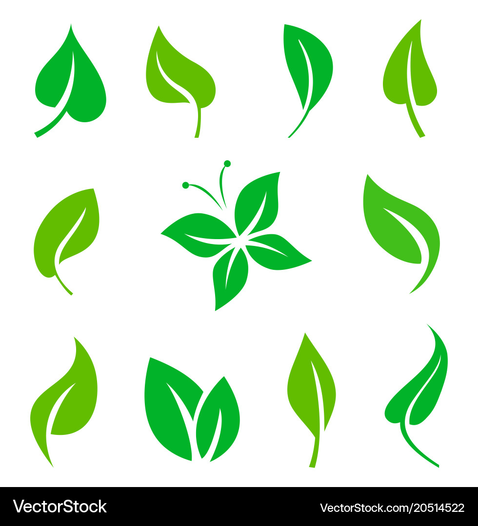 Set of green leaves design elements Royalty Free Vector