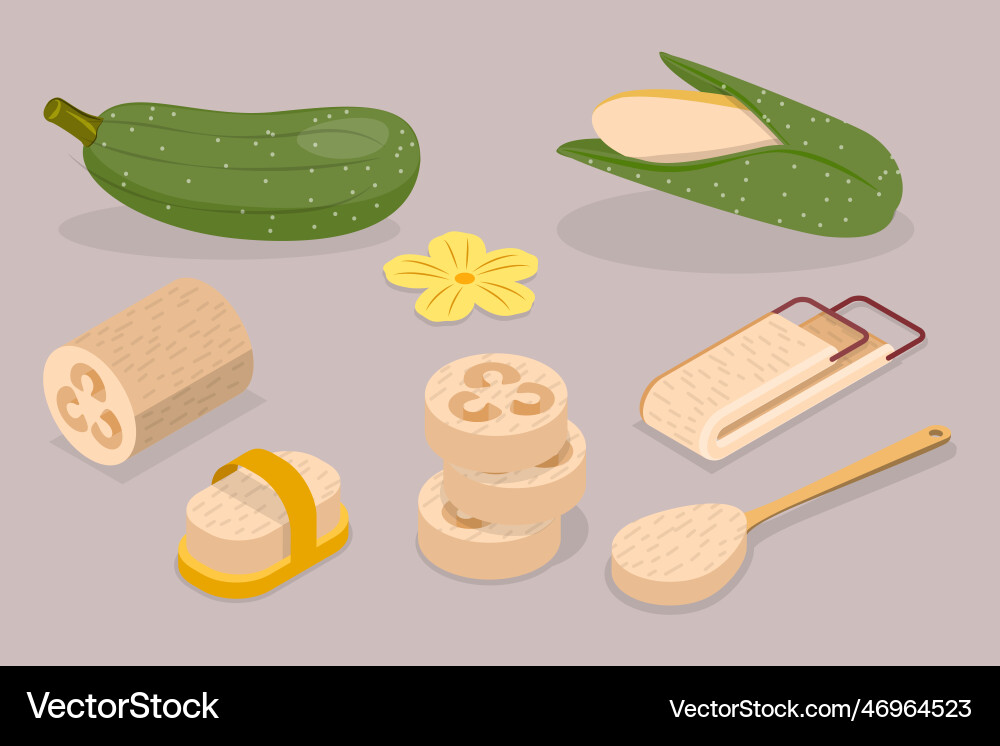 3d isometric flat set of vietnamese luffa Vector Image