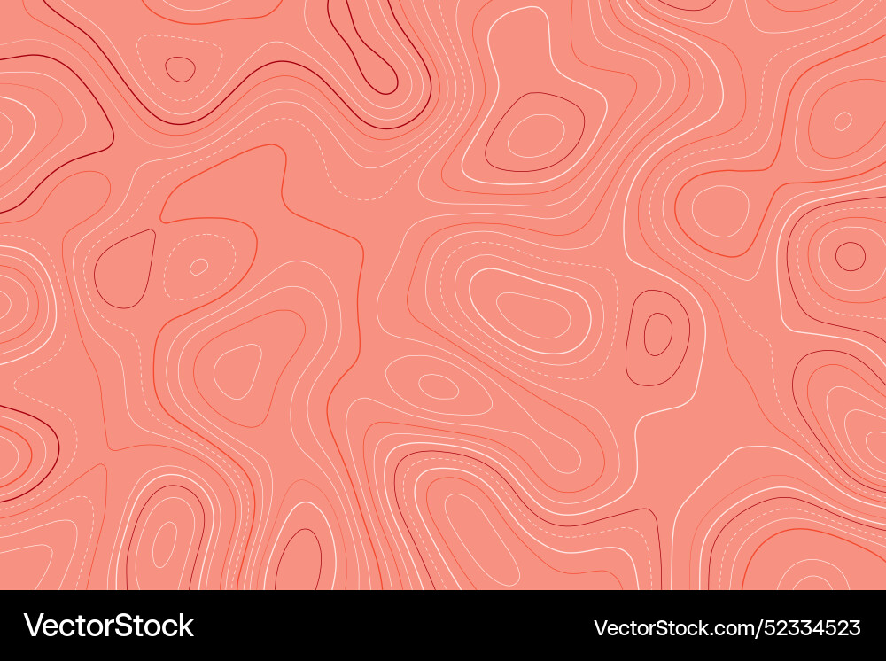 Background with topographic map Royalty Free Vector Image