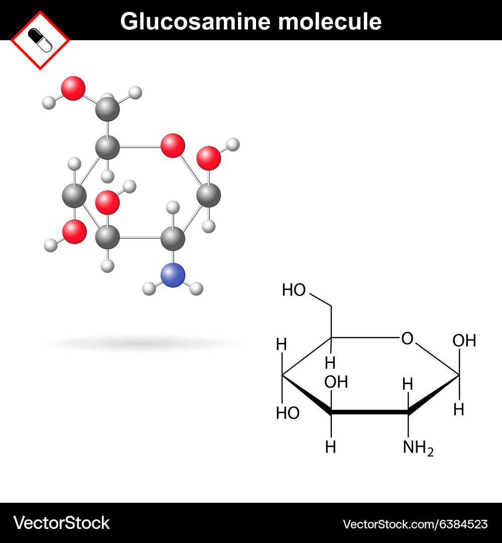 Glucosamine structure Royalty Free Vector Image