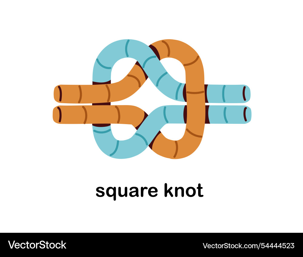 Square reef knot tying two ropes strong double Vector Image