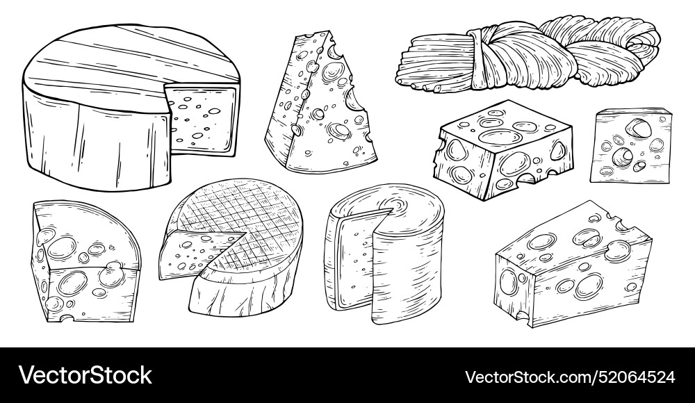 Cheese set ink sketch isolated Royalty Free Vector Image