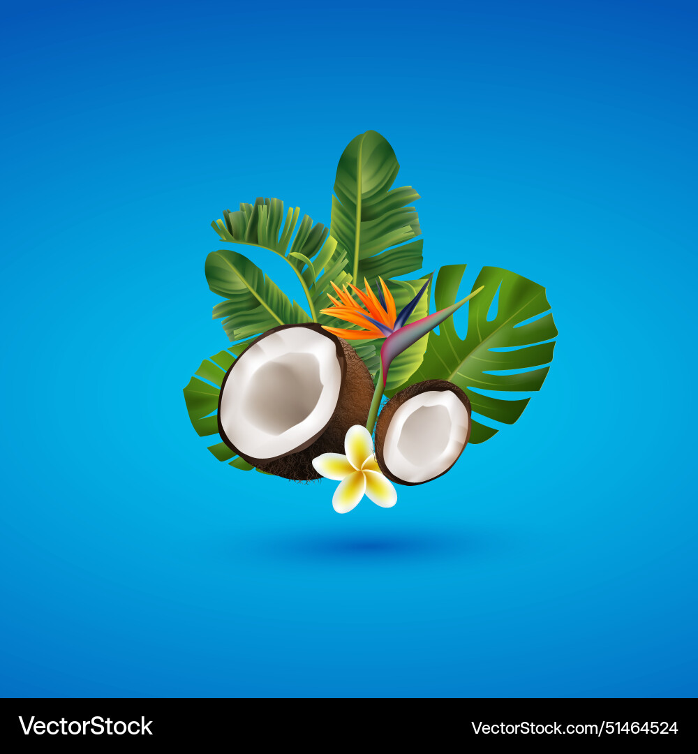 Realistic 3d detailed brown exotic whole coconut Vector Image