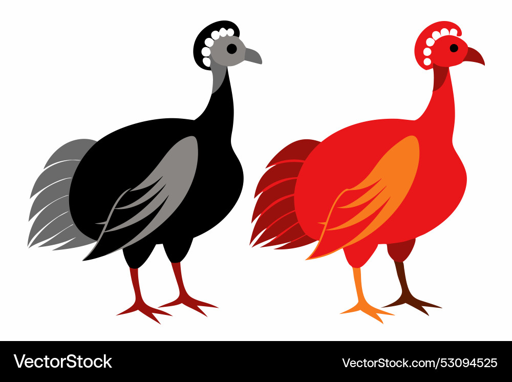 2 drawings wild turkey f Royalty Free Vector Image