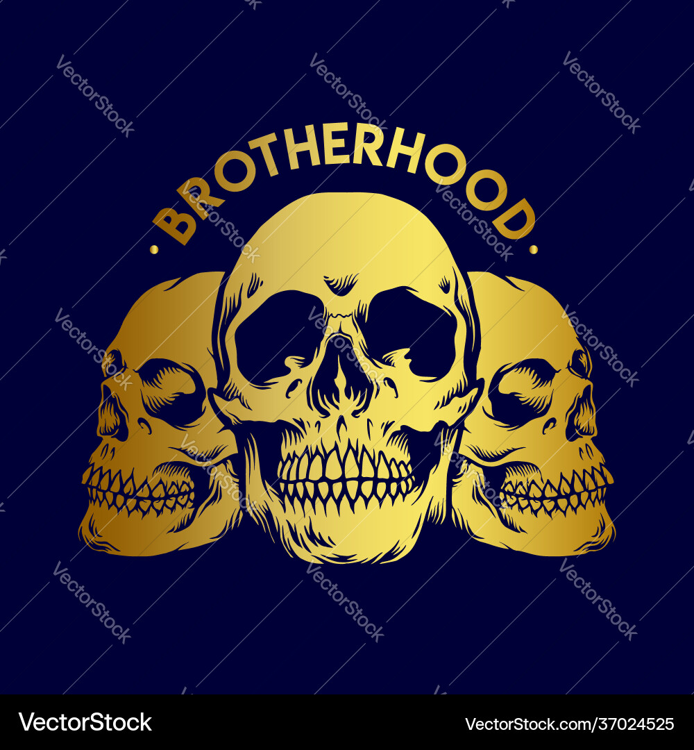 Brotherhood Skull Logo Royalty Free Vector Image