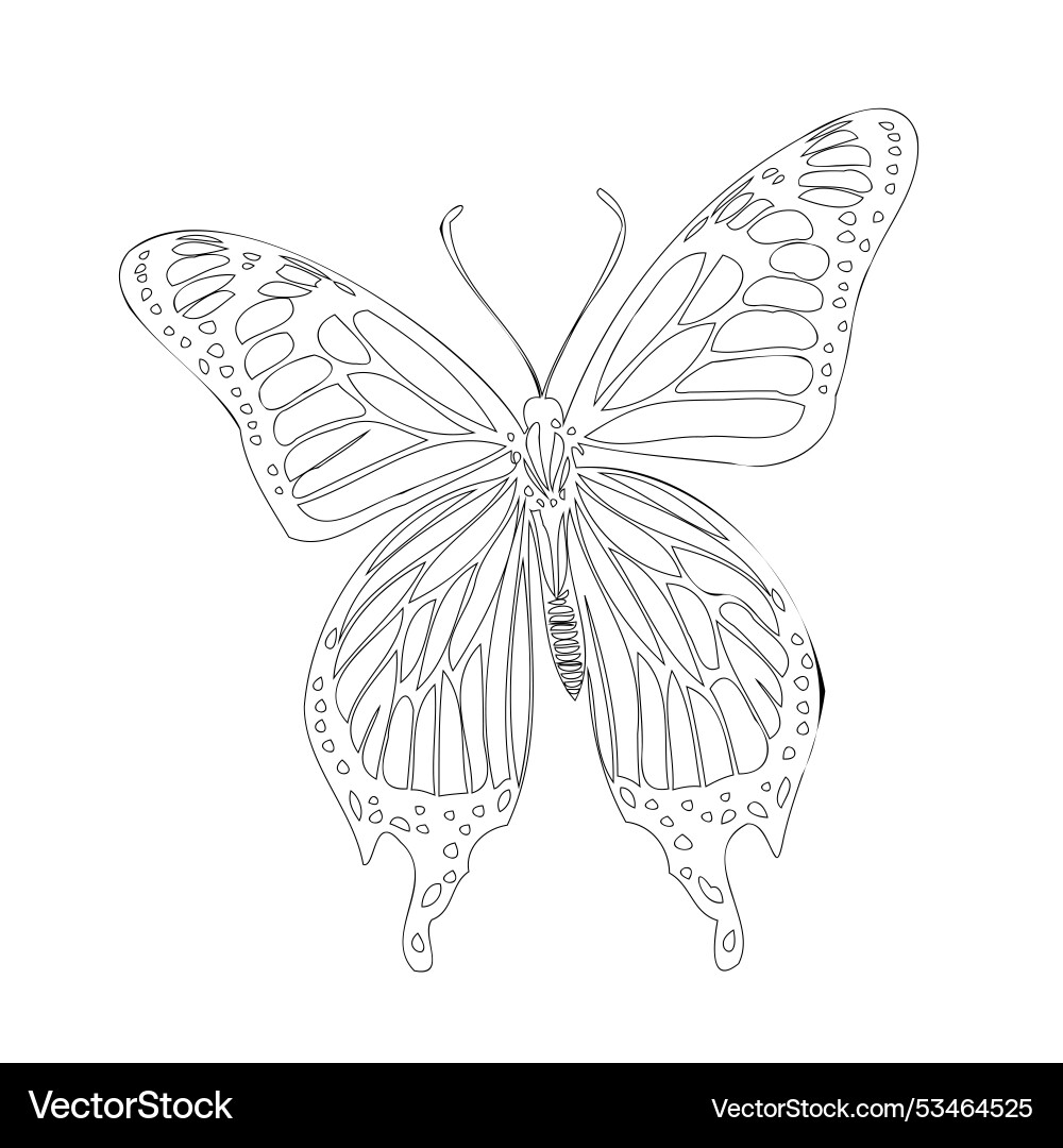 Butterfly animal outline sketch Royalty Free Vector Image