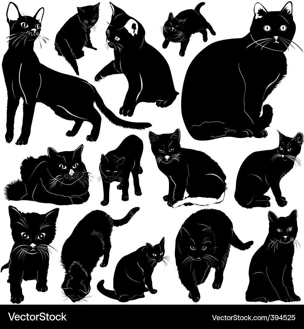 Cat Royalty Free Vector Image - VectorStock