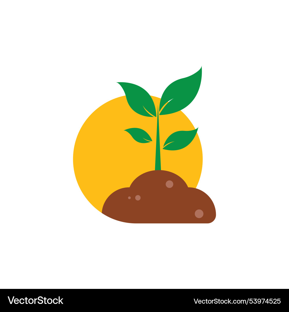 Green plant growth Royalty Free Vector Image - VectorStock