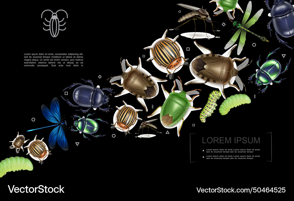 Realistic insects colorful collection Royalty Free Vector