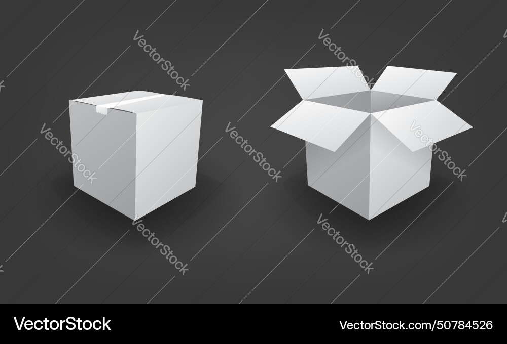 Blank open and closed white box package business Vector Image