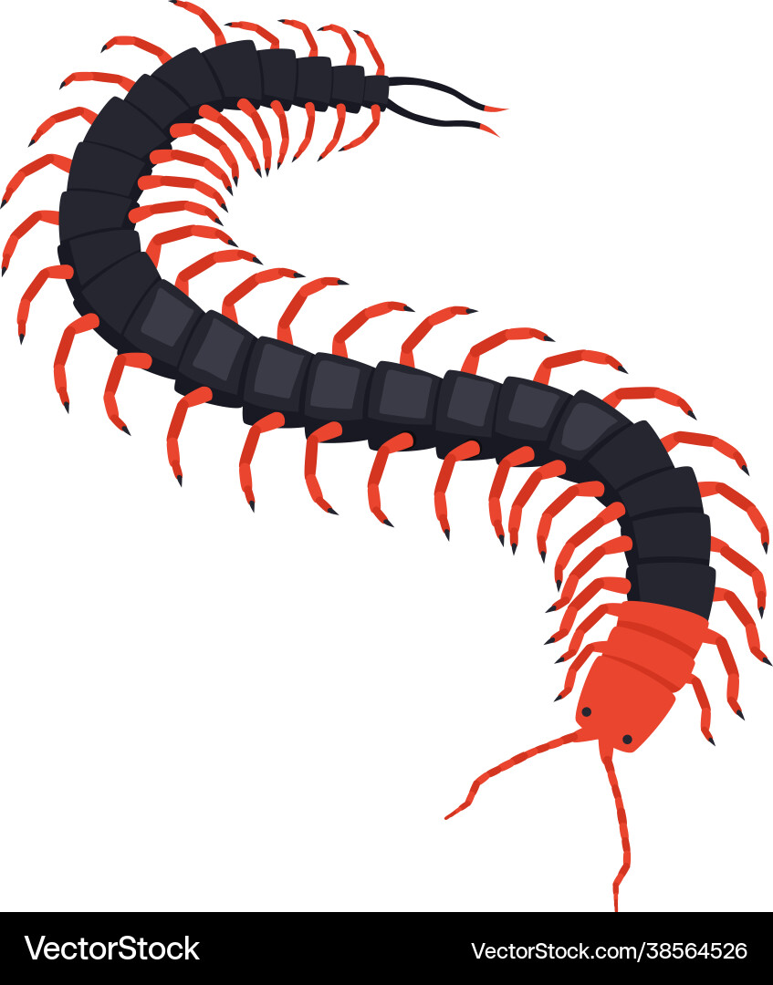 Centipede isometric Royalty Free Vector Image - VectorStock
