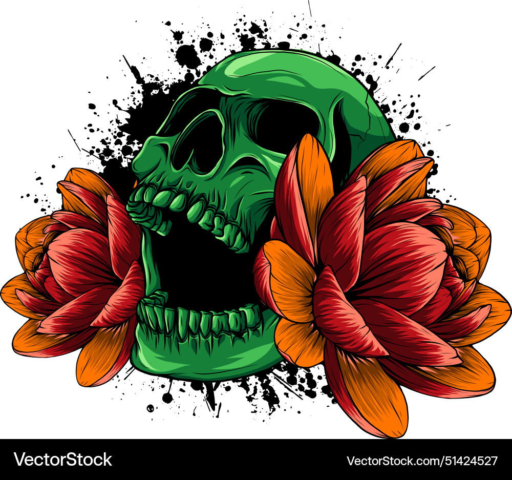 Colored draw of human skull Royalty Free Vector Image