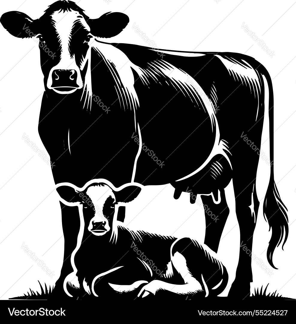Dairy cow and calf Royalty Free Vector Image - VectorStock