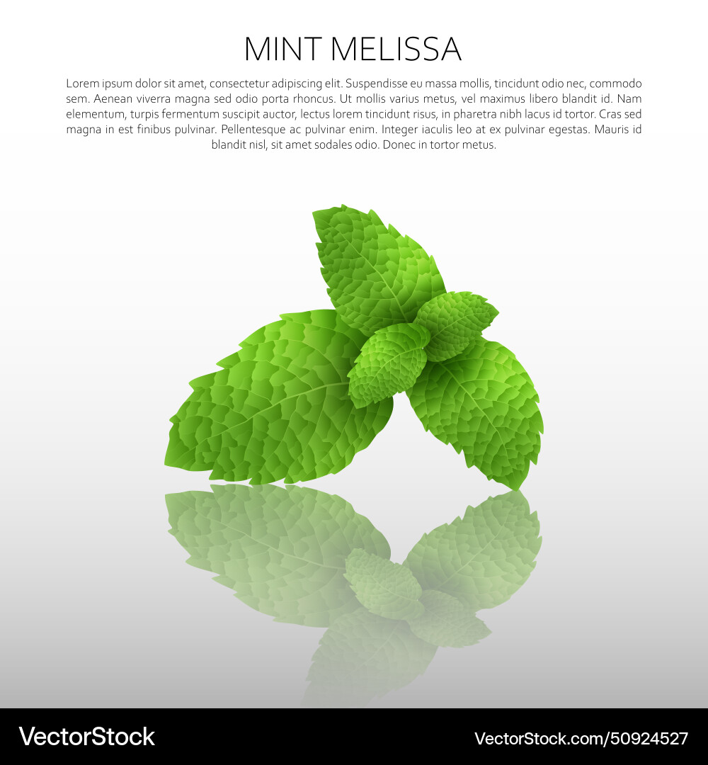 Melissa with a reflection Royalty Free Vector Image