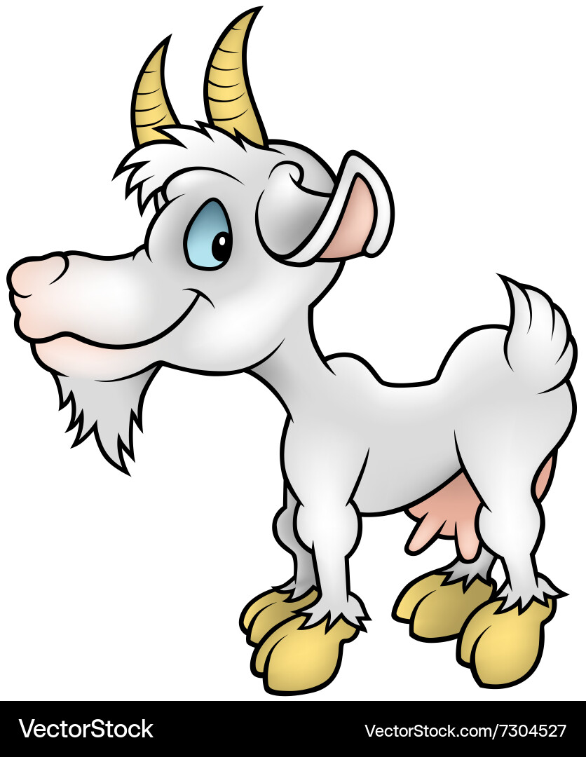 White goat Royalty Free Vector Image - VectorStock