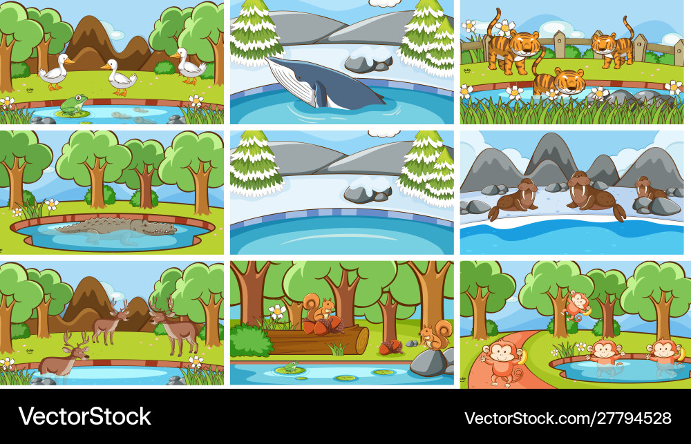Background scenes animals in wild Royalty Free Vector Image