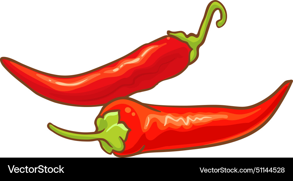 Cayenne pepper colored detailed Royalty Free Vector Image