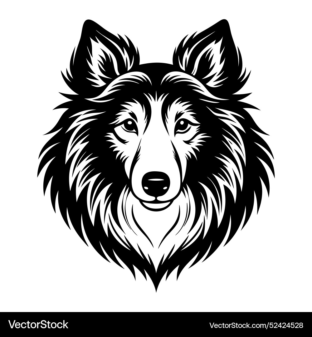 Collie dog head icon black and white logo Vector Image