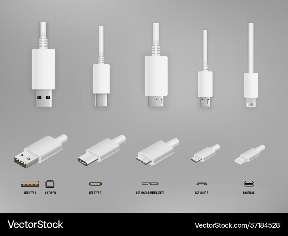 Usb all type Royalty Free Vector Image - VectorStock