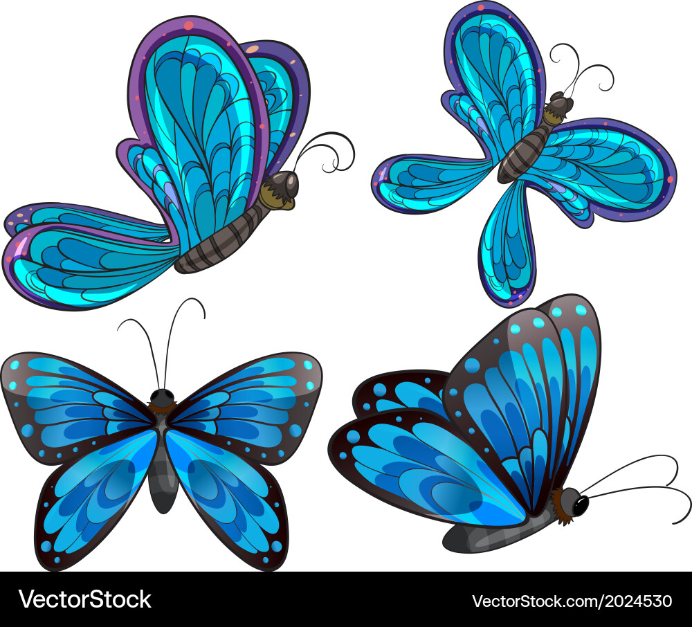 Four butterflies Royalty Free Vector Image - VectorStock