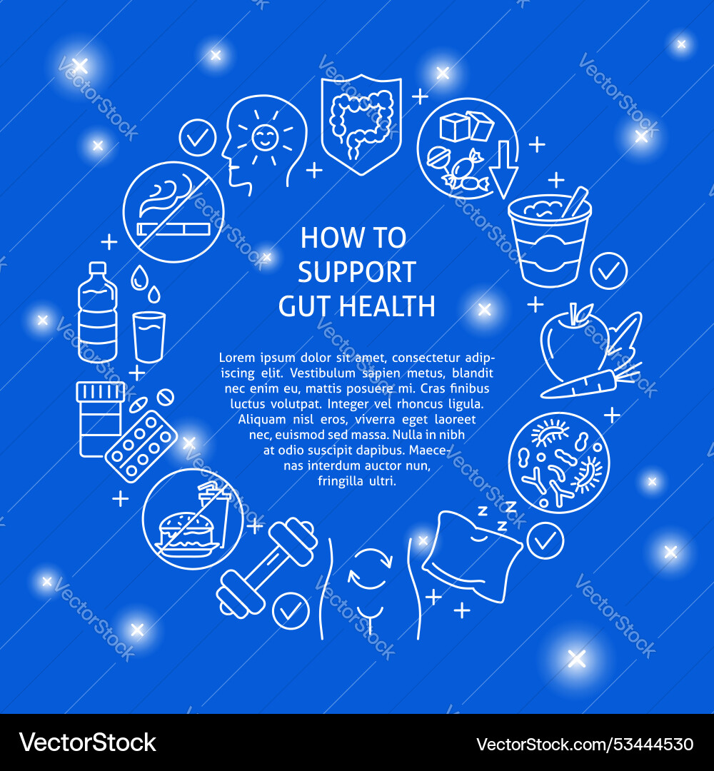 How to support gut health banner Royalty Free Vector Image