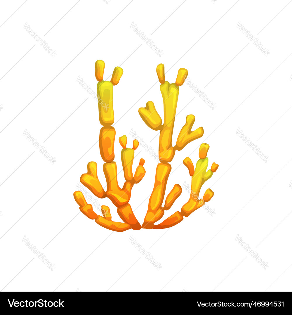Underwater seaweed aquarium algae cartoon plant Vector Image