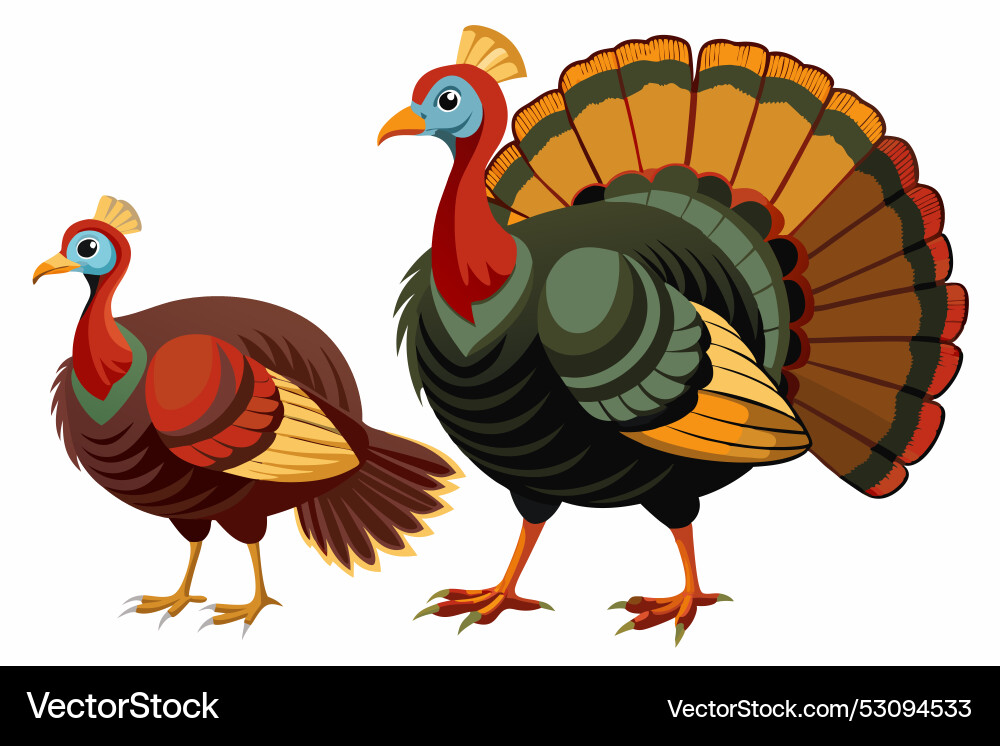 2 drawings wild turkey j Royalty Free Vector Image