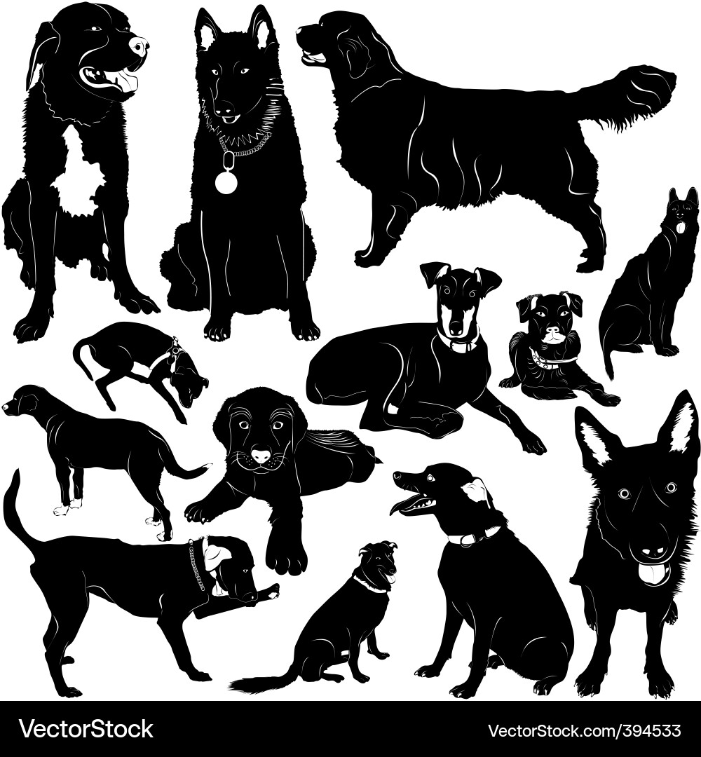 Dog with details Royalty Free Vector Image - VectorStock