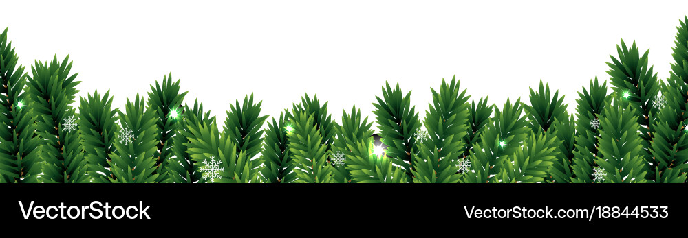 Fir tree border Royalty Free Vector Image - VectorStock