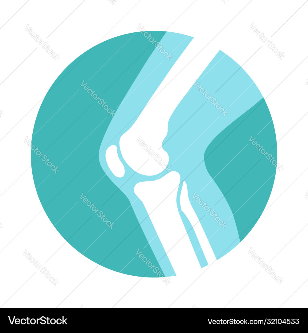 Knee joint Royalty Free Vector Image - VectorStock