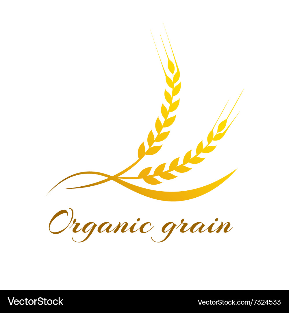 Wheat label Royalty Free Vector Image - VectorStock