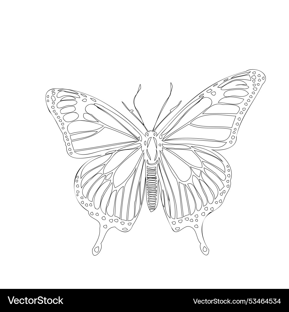 Butterfly animal outline sketch Royalty Free Vector Image