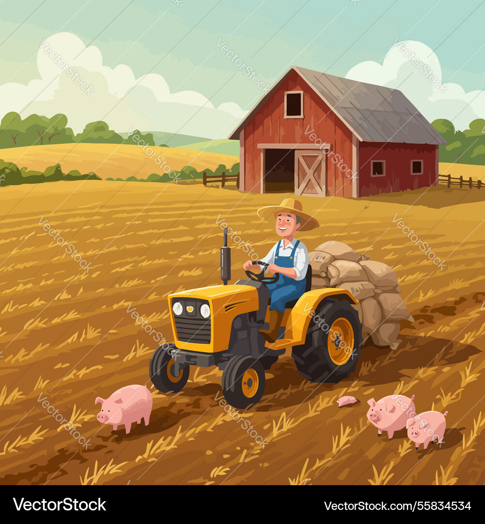 Farmer driving tractor on field with pigs Vector Image