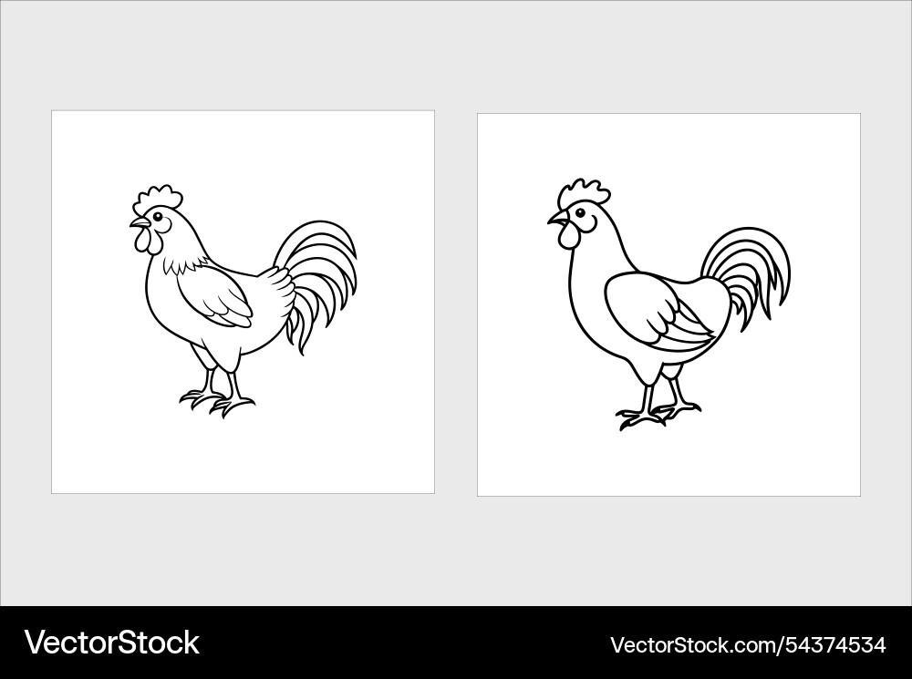 Hen line art Royalty Free Vector Image - VectorStock