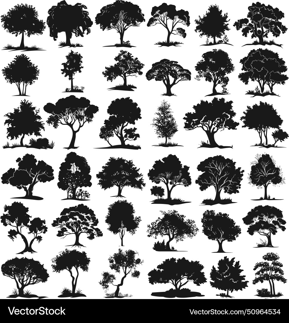 Tree silhouettes trees foliage black stencils Vector Image