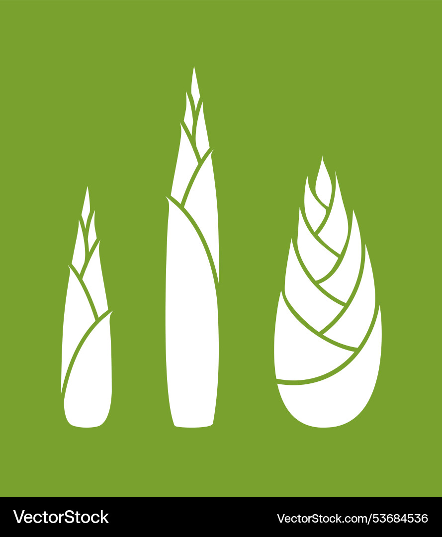 Bamboo Royalty Free Vector Image - VectorStock