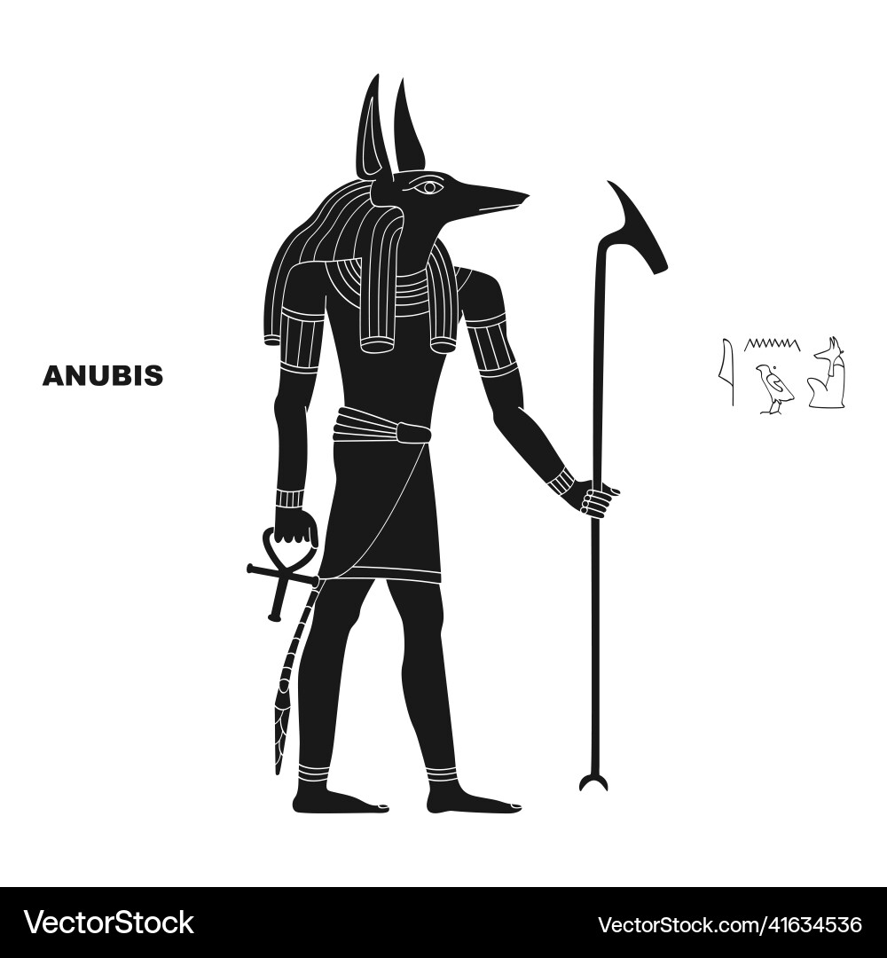 Image with ancient egyptian deity anubis Vector Image