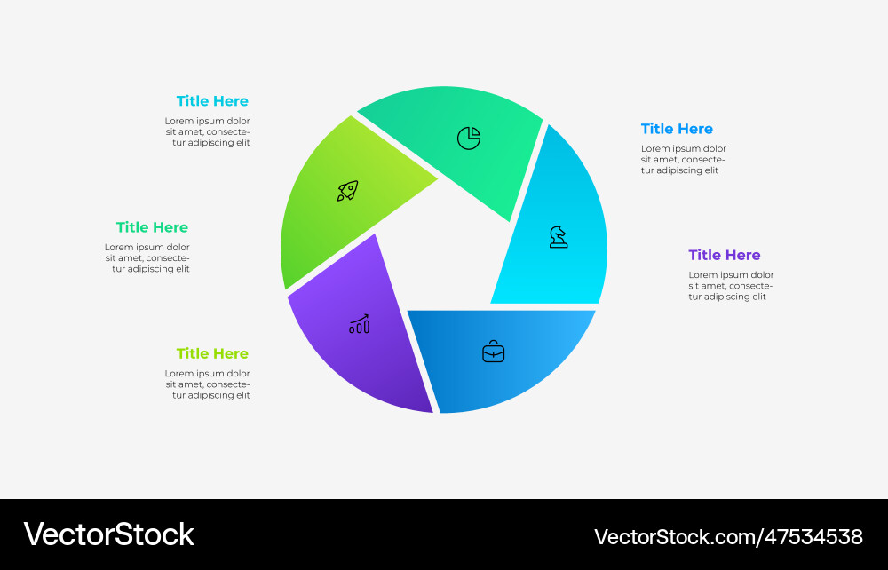 Circle diagram divided into 5 parts Royalty Free Vector