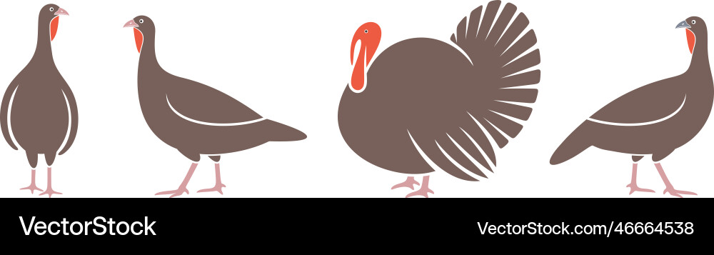Turkey Royalty Free Vector Image - VectorStock