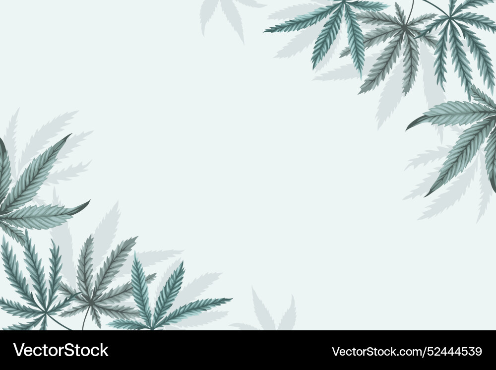 Botanical cannabis leaf background Royalty Free Vector Image