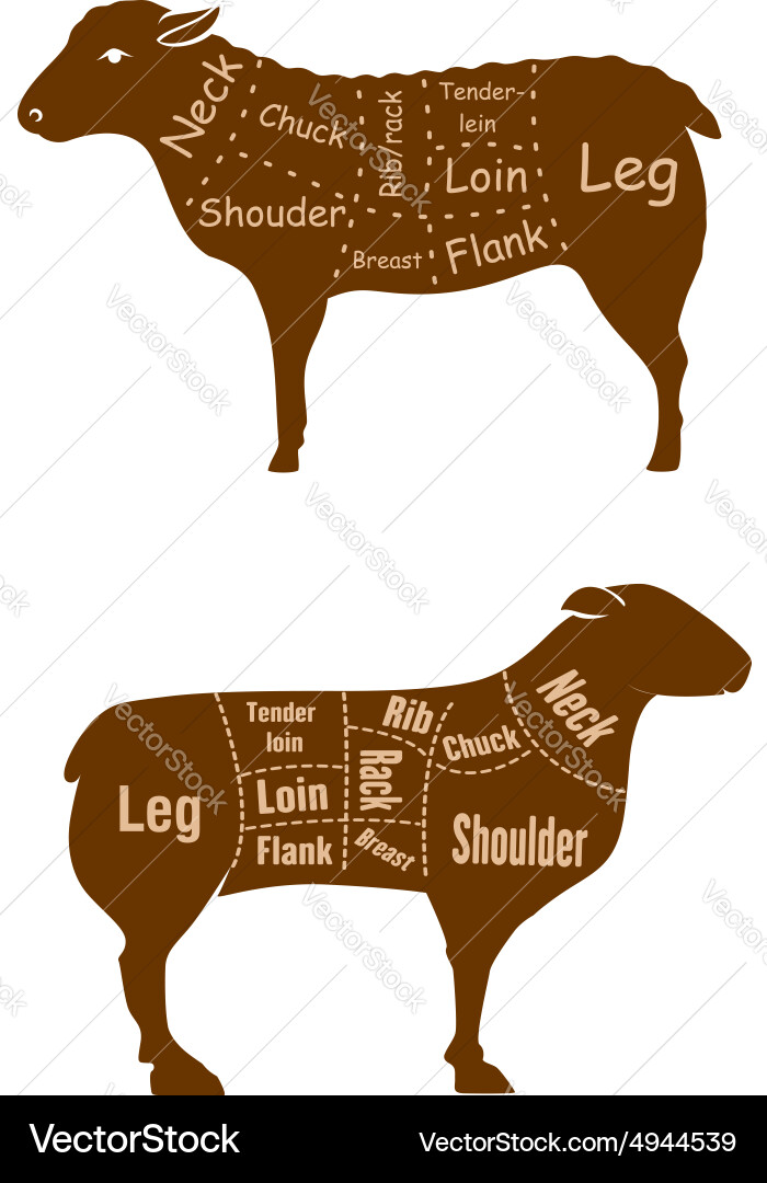 Butcher Cuts of Lamb & Mutton Royalty Free Vector Image