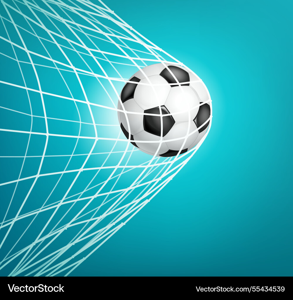 Soccer ball into the net goal Royalty Free Vector Image