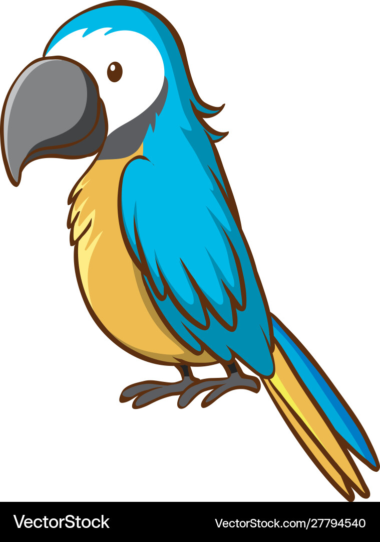 Blue parrot on white background Royalty Free Vector Image