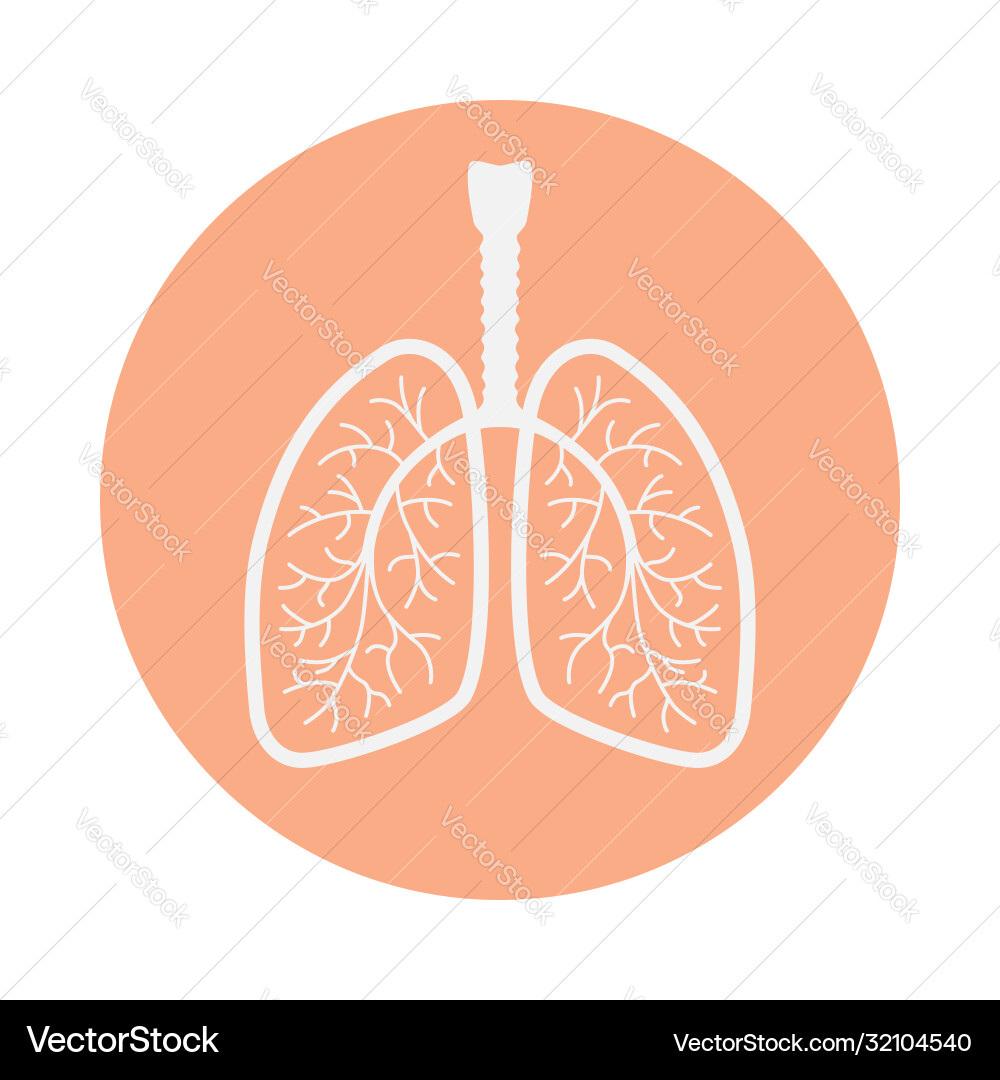 Lungs Royalty Free Vector Image - VectorStock