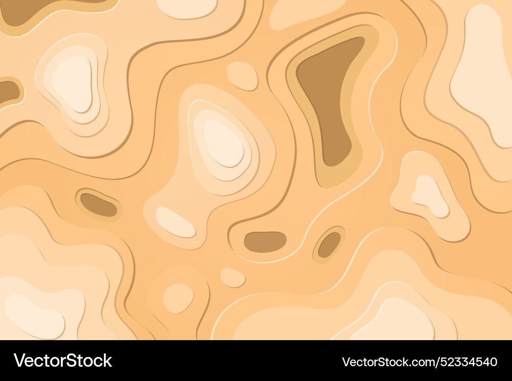 Topographic map wallpaper theme Royalty Free Vector Image