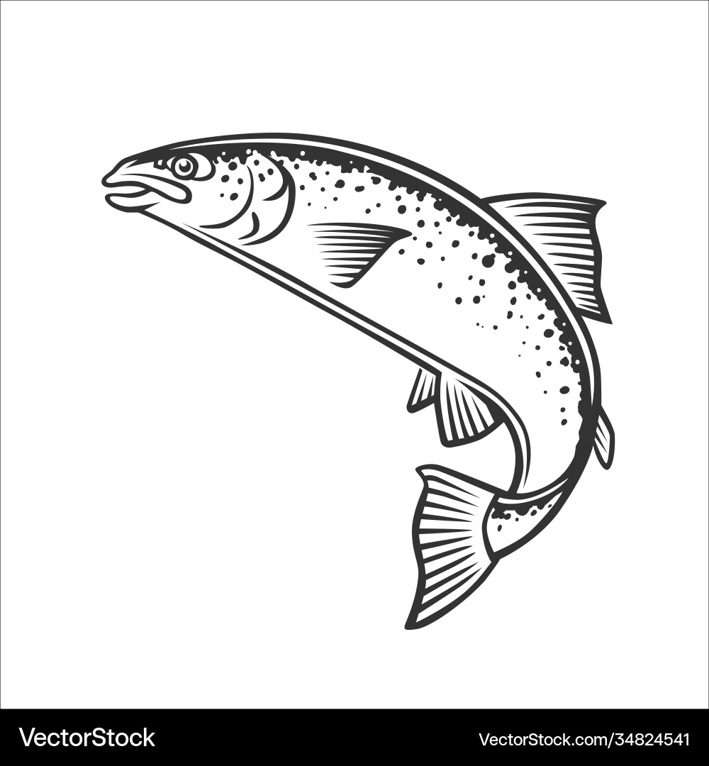 Fish fresh seafood template design Royalty Free Vector Image